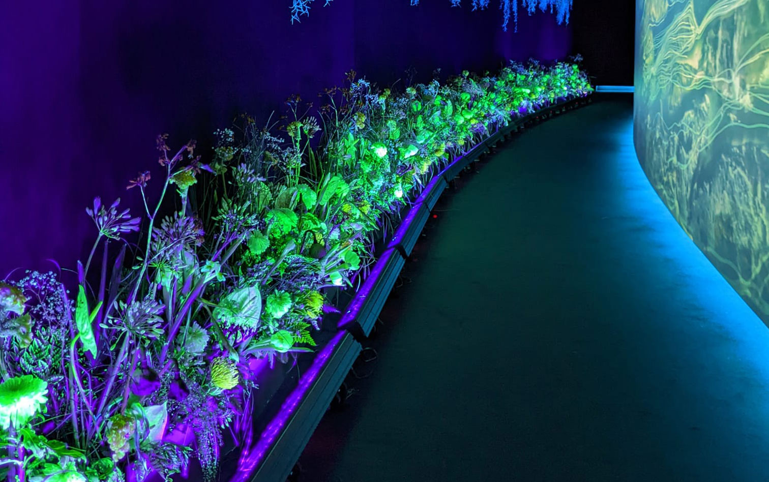 Aglaé | Les 100 solutions | The Arch