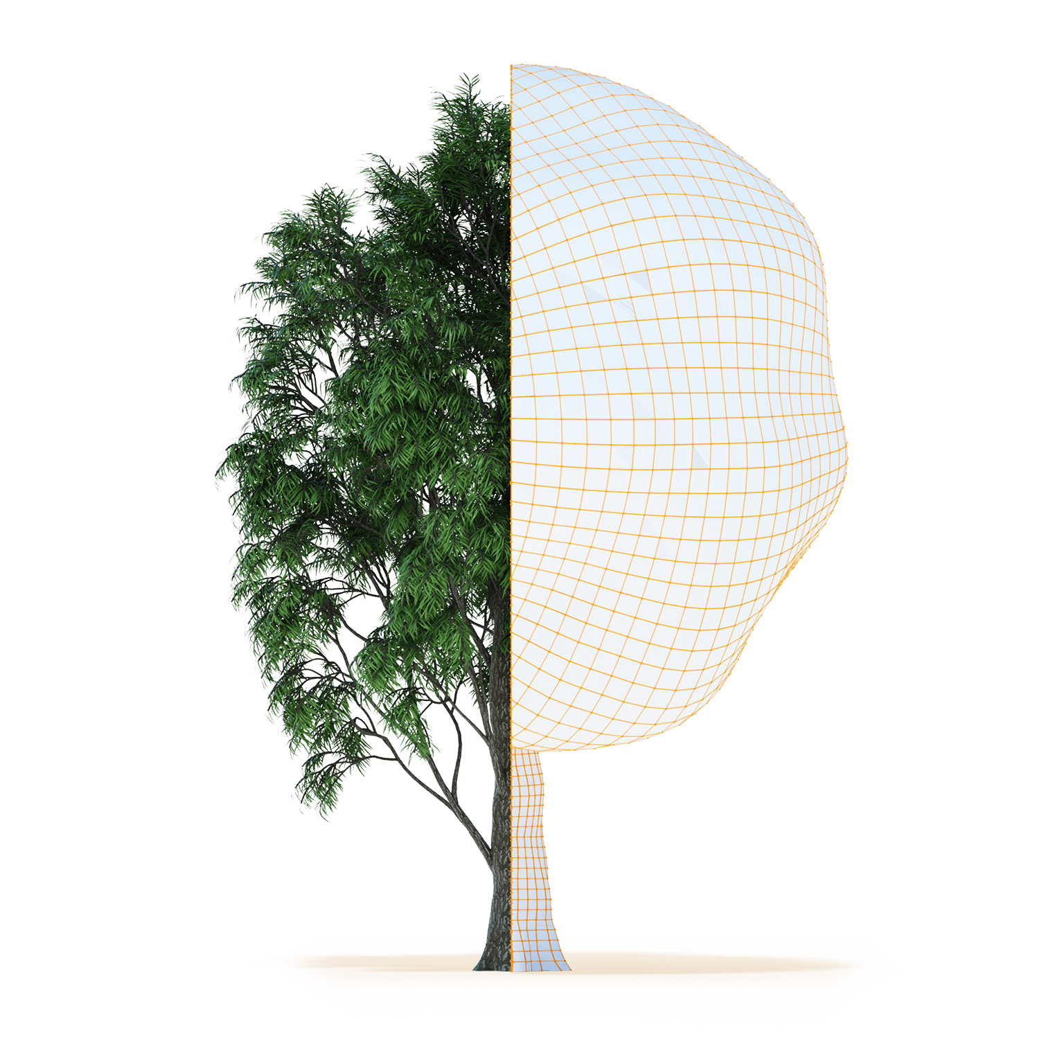 Urban Tree Offset Initiative (UTOI) | Les 100 solutions | The Arch