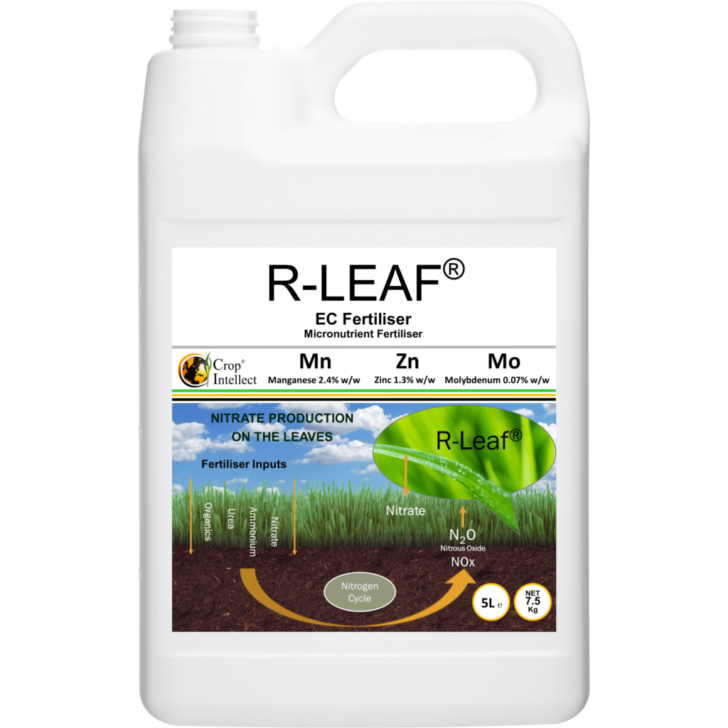 R-LEAF® | Les 100 solutions | The Arch